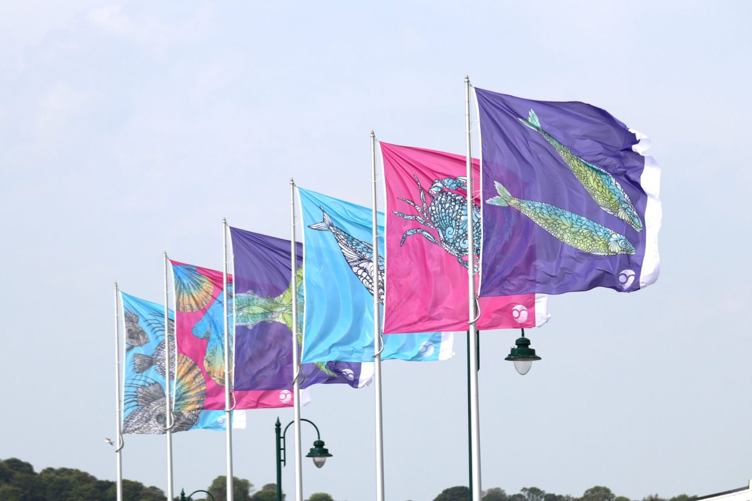 Six new summer flags pop in Penzance! - Penzance Council